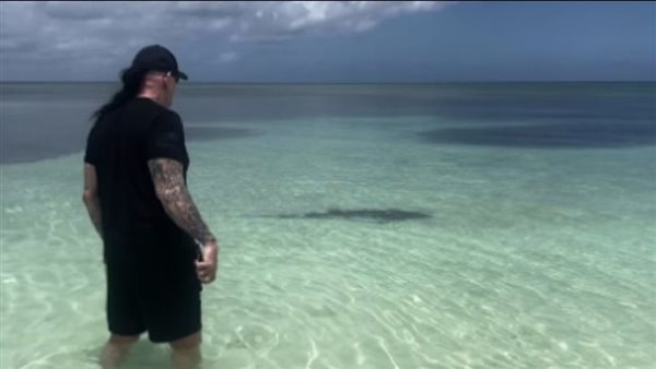 Watch .. Undertaker stands in front of a shark to protect his wife ...